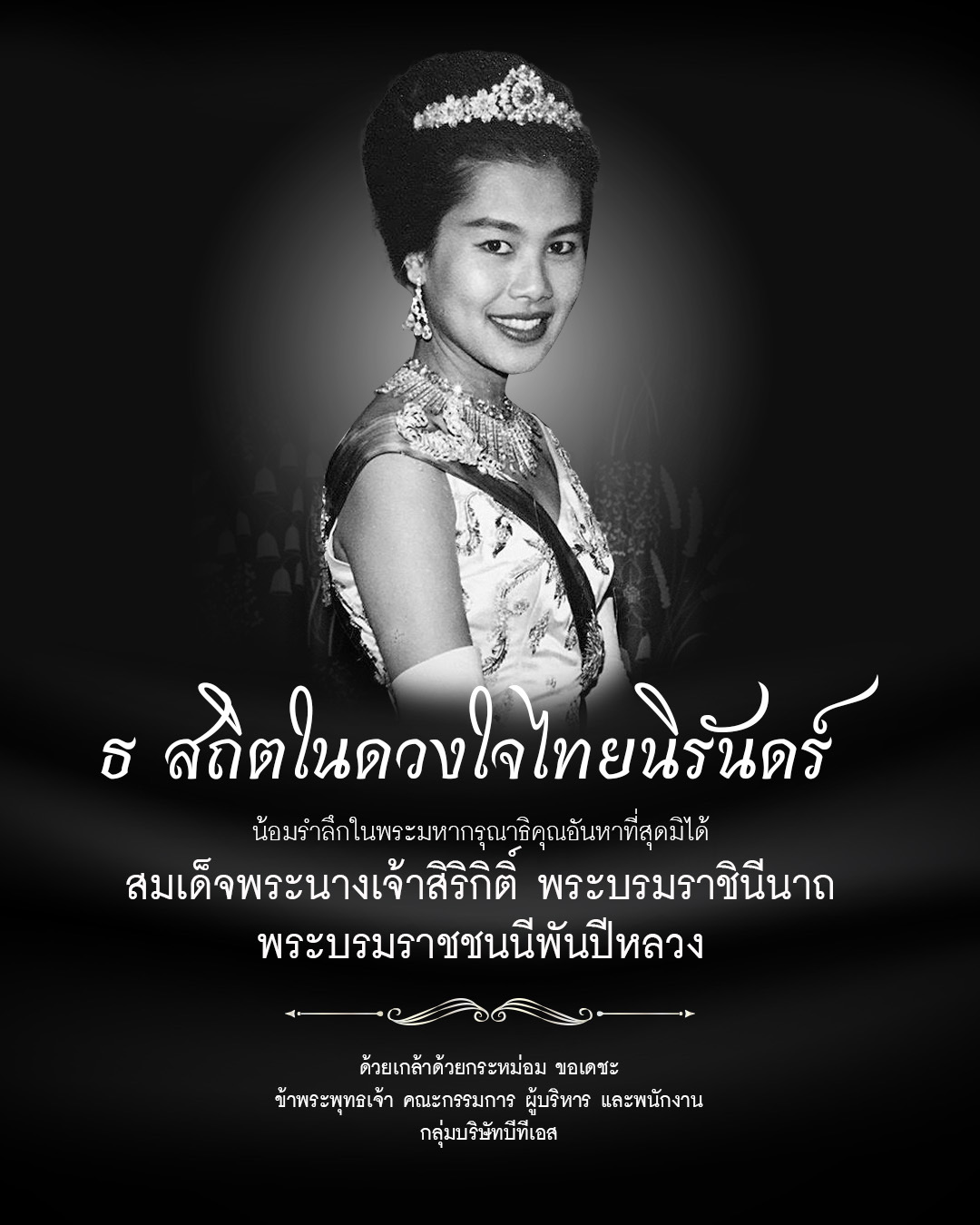 Contact - BTS VISIONARY PARK